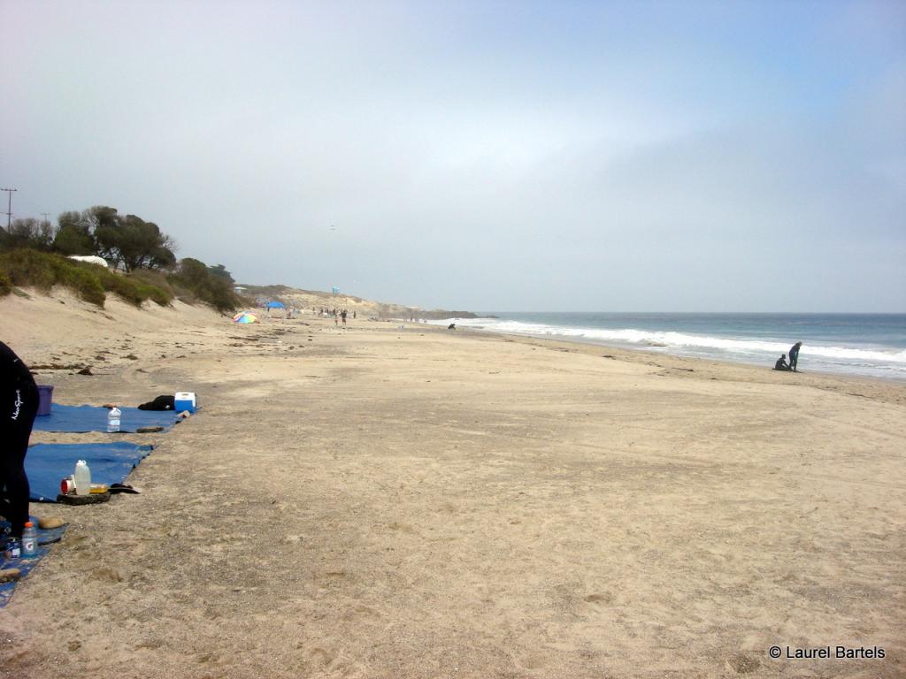 Leo Carrillo State Beach - Open Water Data