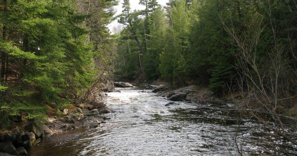 Lester River Beach - Open Water Data