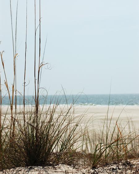 Little Lagoon Pass, Gulf of Mexico - Open Water Data