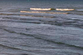 Long Tail Point - Open Water Data