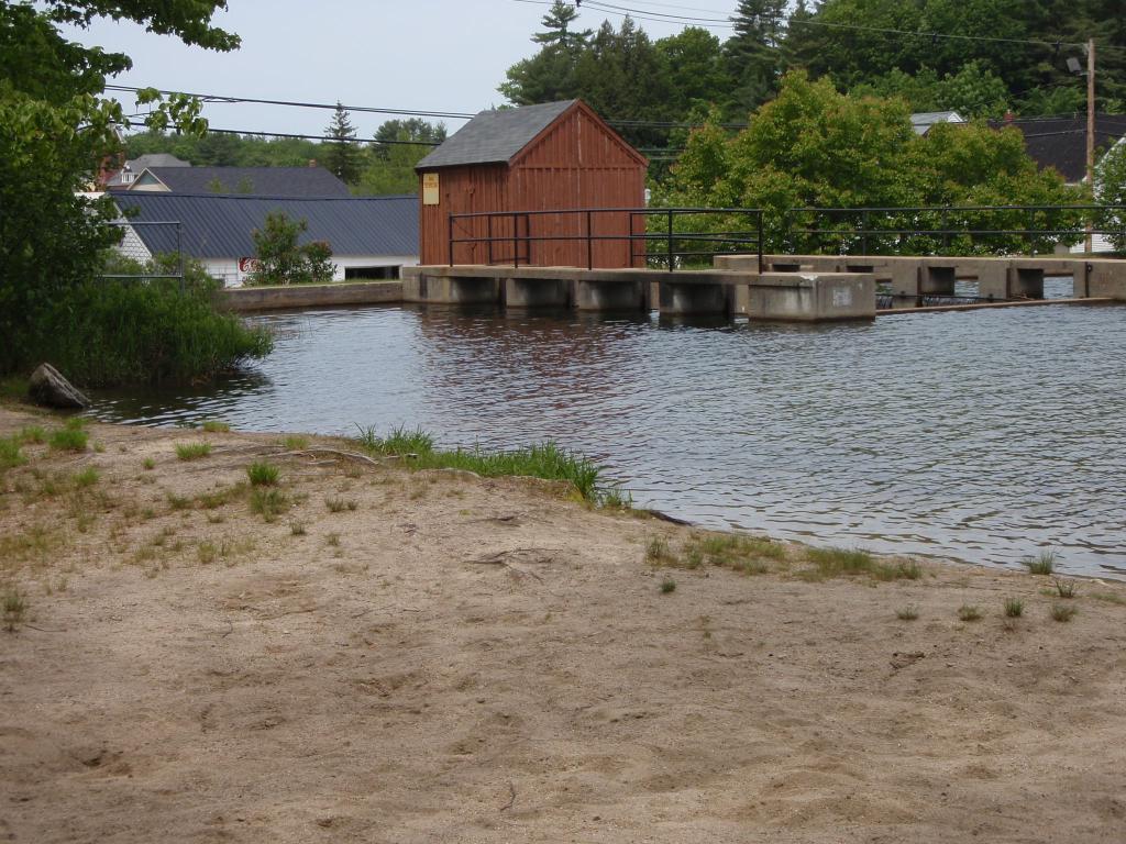 Lovell Pond Town Beach - Open Water Data