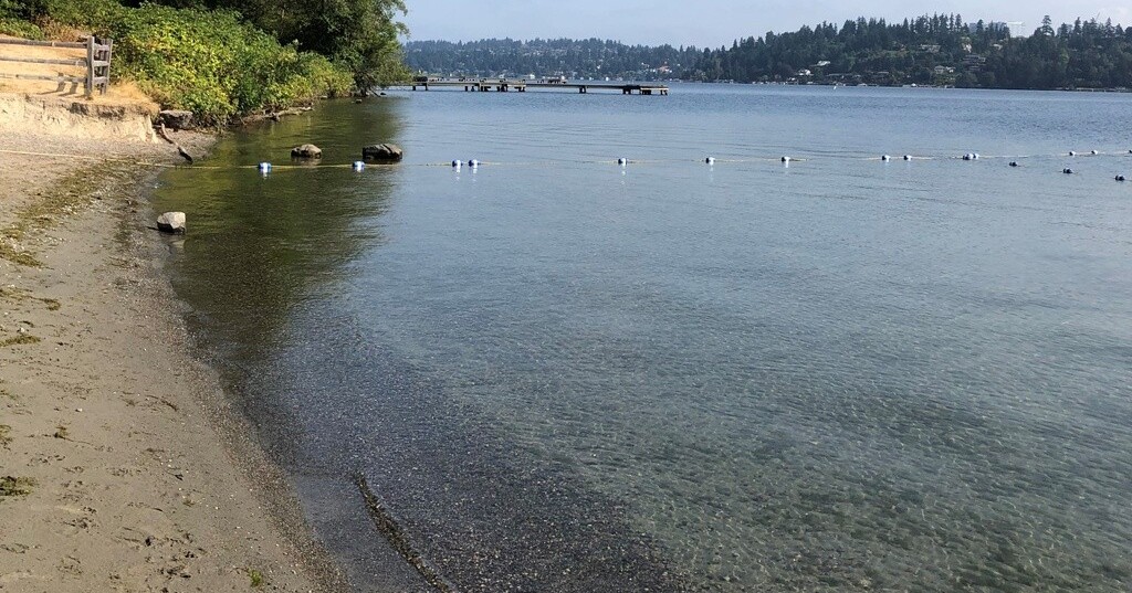 Luther Burbank Park - Open Water Data