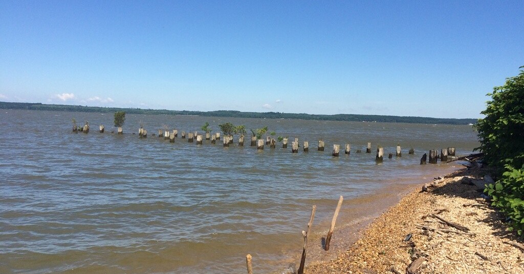 Mallows Bay - Liverpool Point - Open Water Data