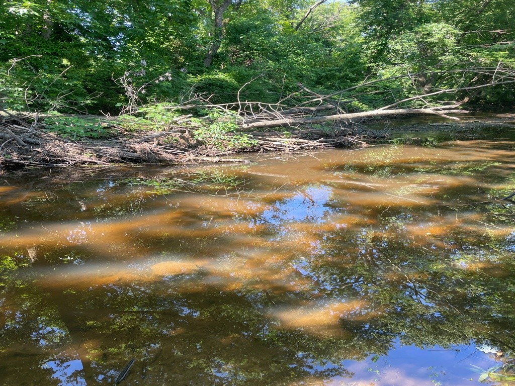 (MI4) Miry Run - Open Water Data