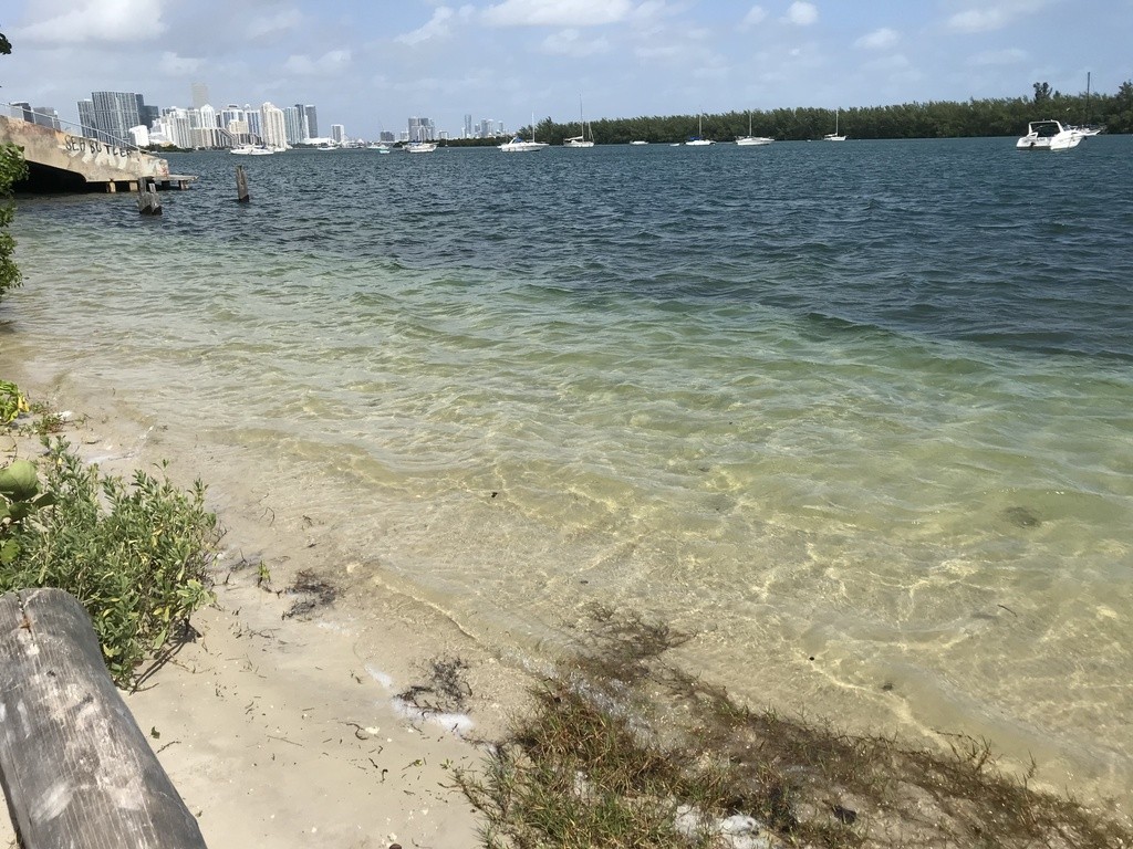 Miami Marine Stadium - Miami Waterkeeper - Open Water Data