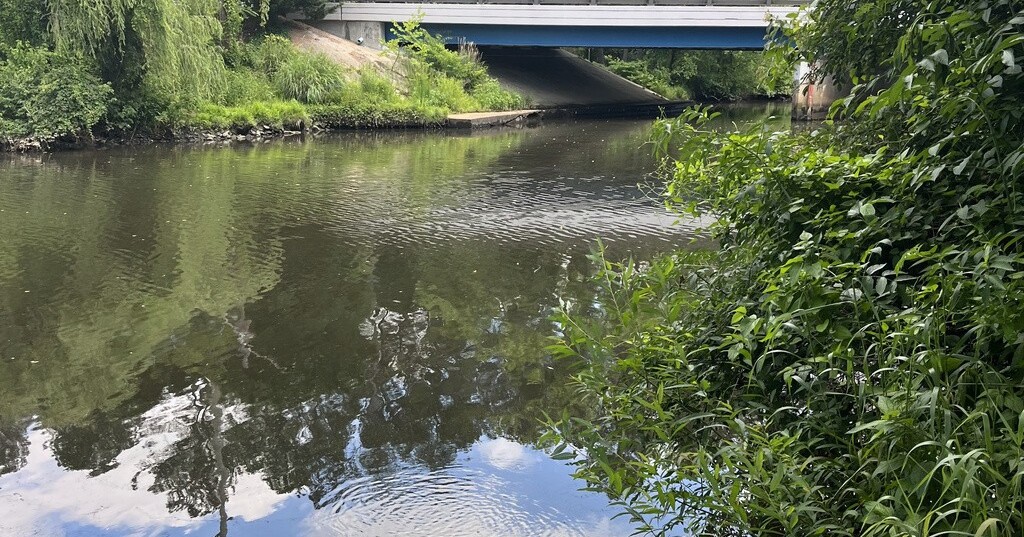 Millington Waterfront Park - Open Water Data