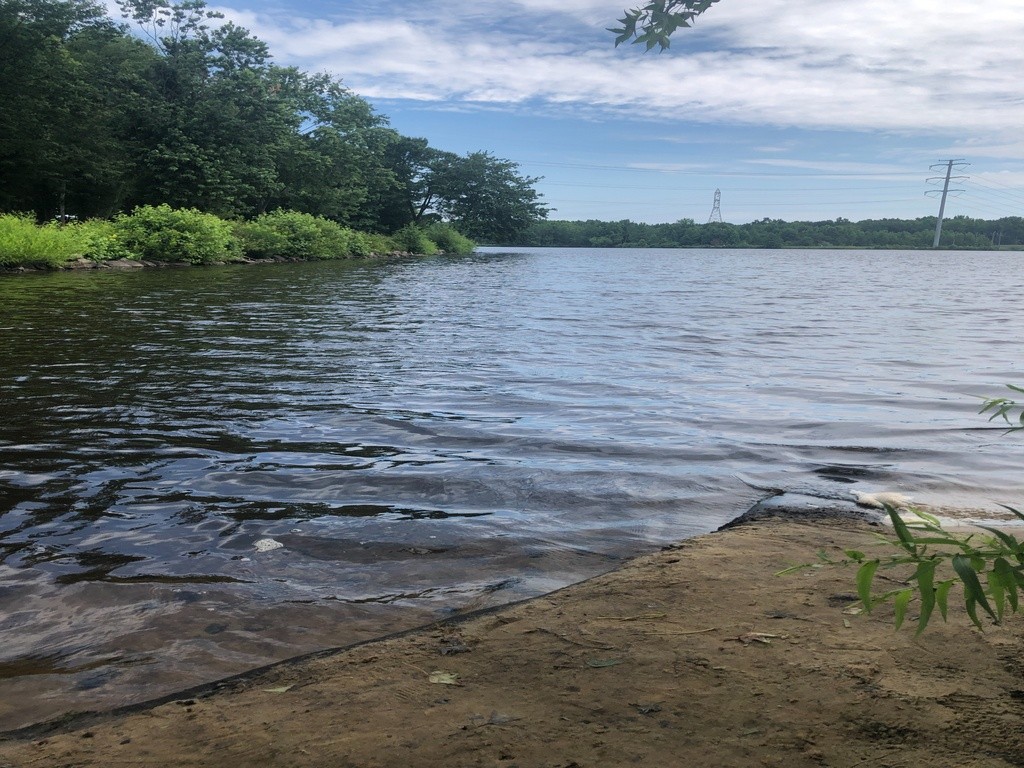 (MRCL1) Mercer Lake - Open Water Data