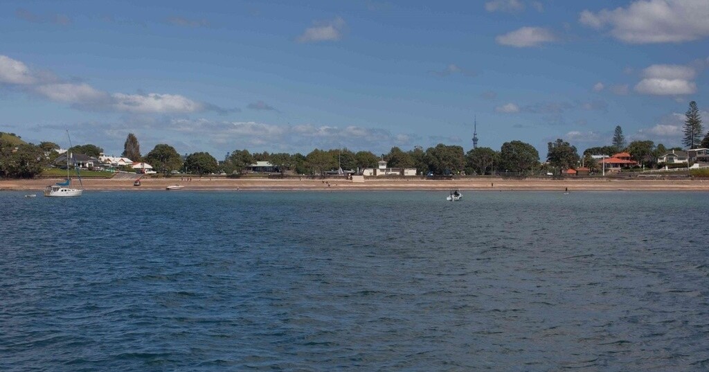 Narrow Neck Beach - Open Water Data