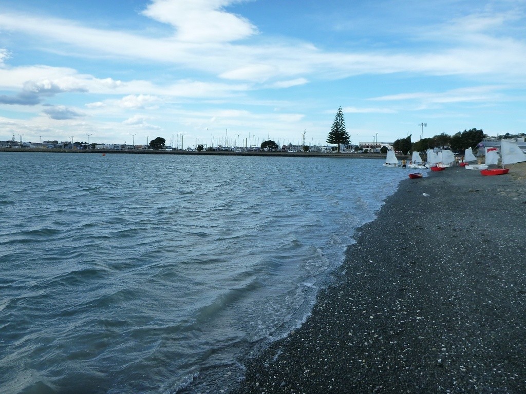 Pandora Pond at Ahuriri, Napier - Open Water Data