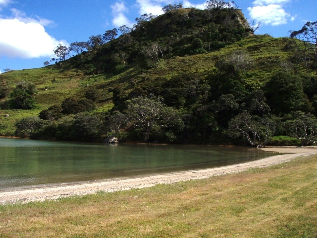 Pataua South East End - Open Water Data