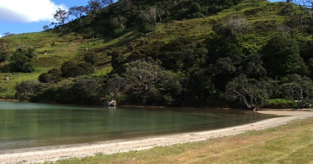 Pataua South East End - Open Water Data