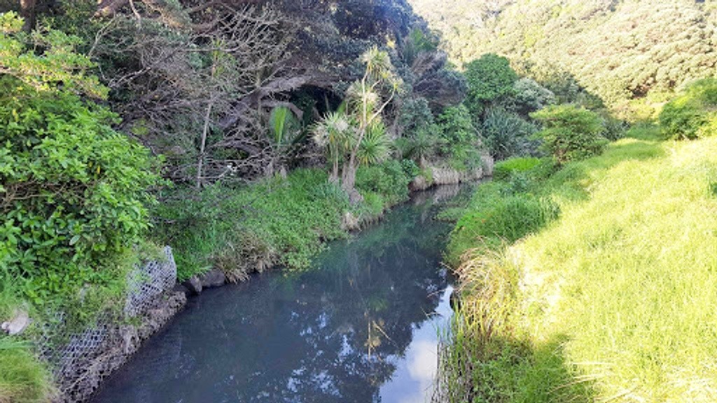Piha Lagoon - North - Open Water Data