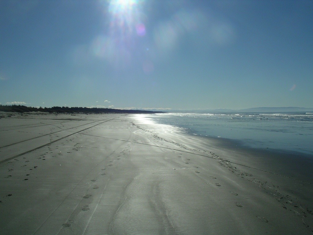 Pines Beach - Open Water Data