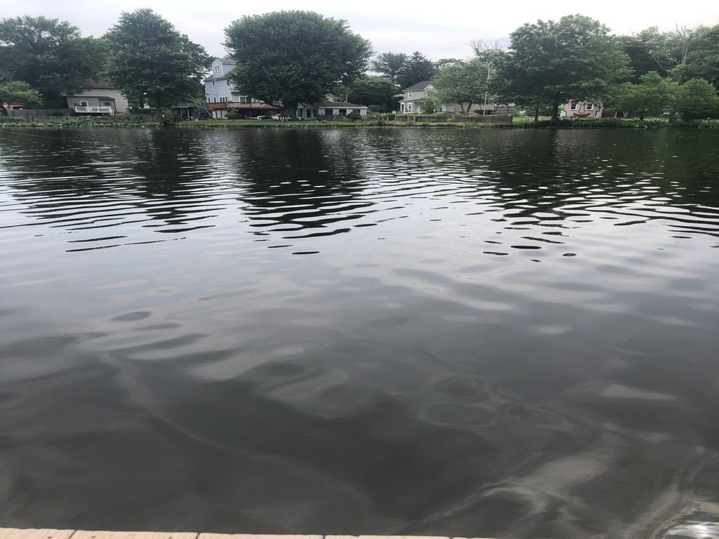 (PL1) Peddie Lake - Open Water Data