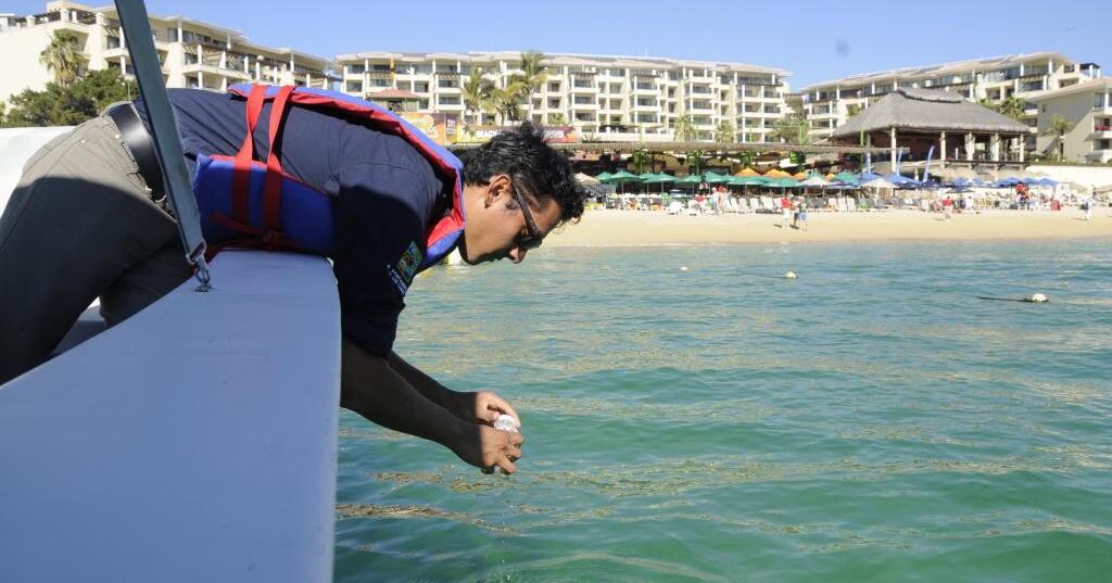 Playa hacienda - Open Water Data