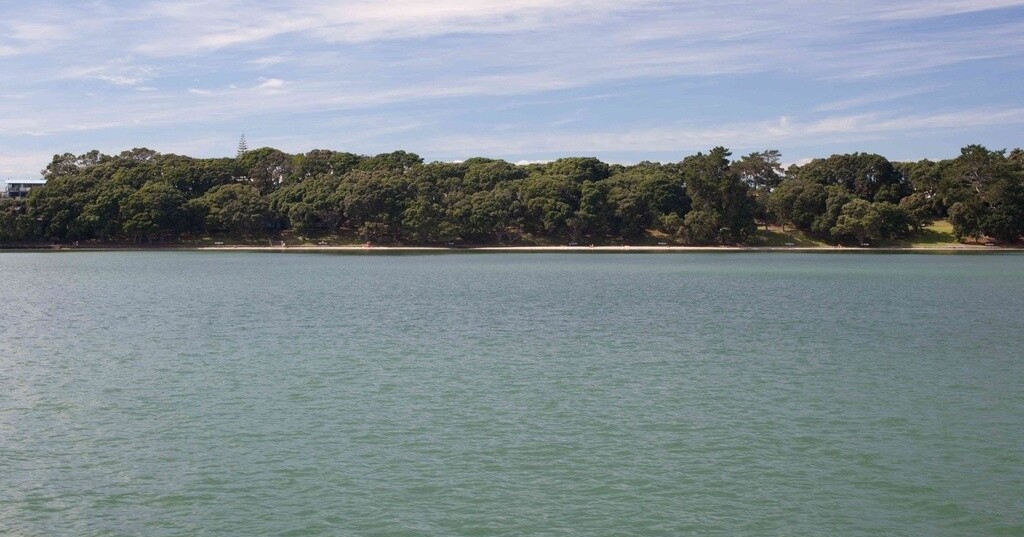 Point Chevalier Beach - Open Water Data