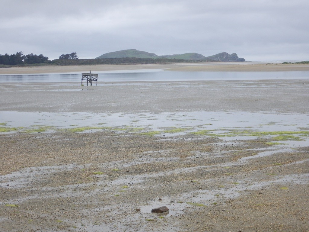 Pounawea (Catlins) at Pounawea Estuary - Open Water Data