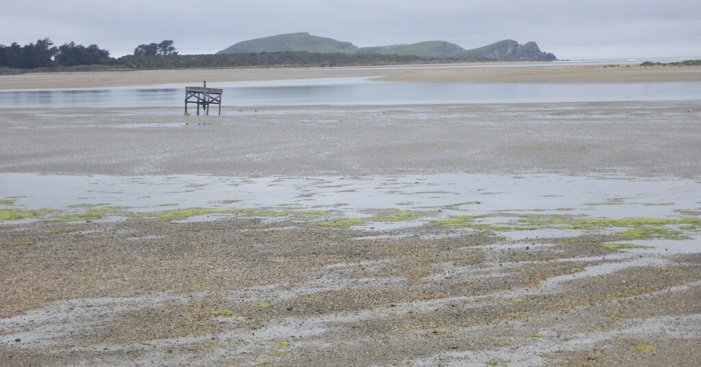 Pounawea (Catlins) at Pounawea Estuary - Open Water Data