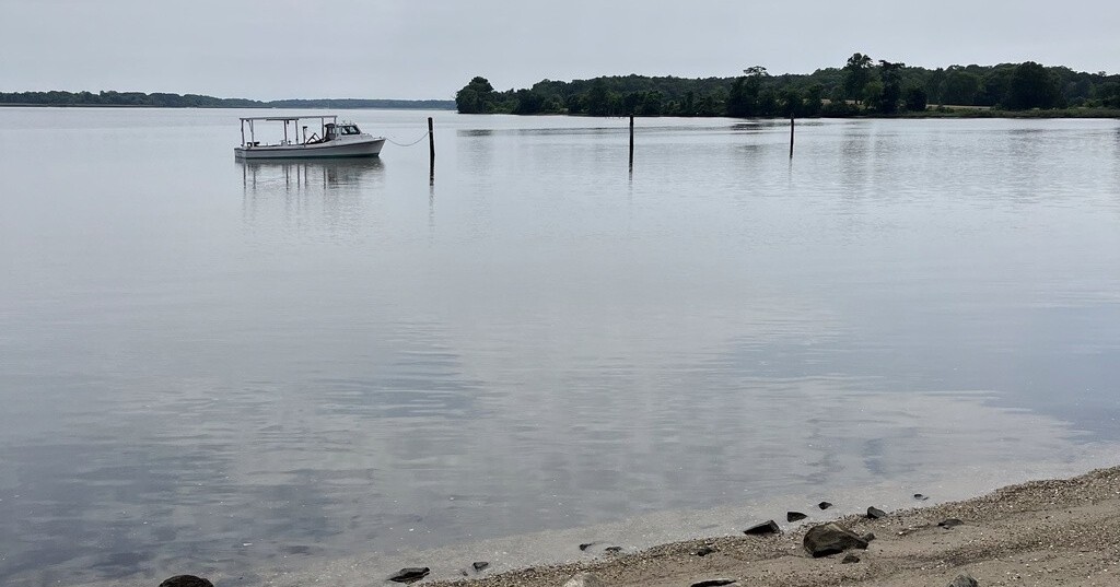 Quaker Neck Landing - Open Water Data
