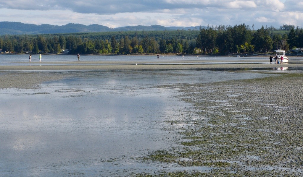Rathtrevor Beach (Southeast) - Open Water Data