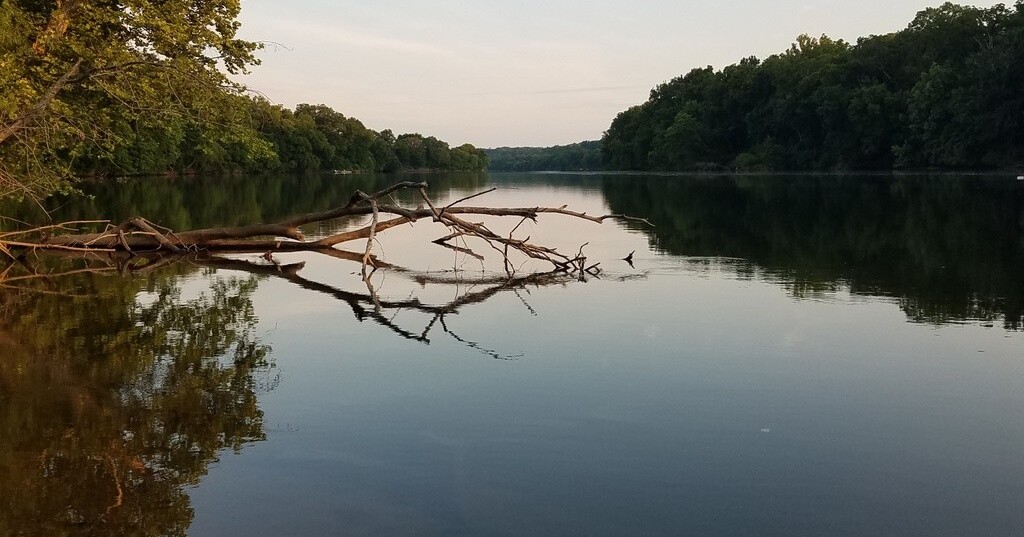 Robious Landing Park - Open Water Data