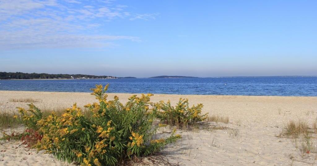 Sag Harbor: Long Beach - Open Water Data