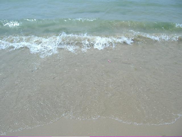 Saxon Harbor West - Open Water Data