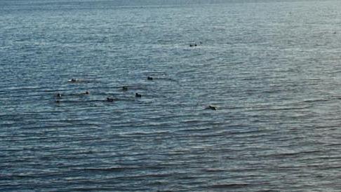 Sechelt Waterfront Beach - Open Water Data