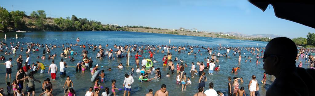Shadow Cliffs Lake - North - Open Water Data
