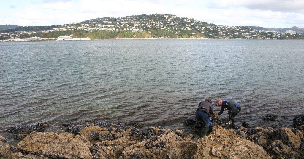 Shark Bay - Open Water Data