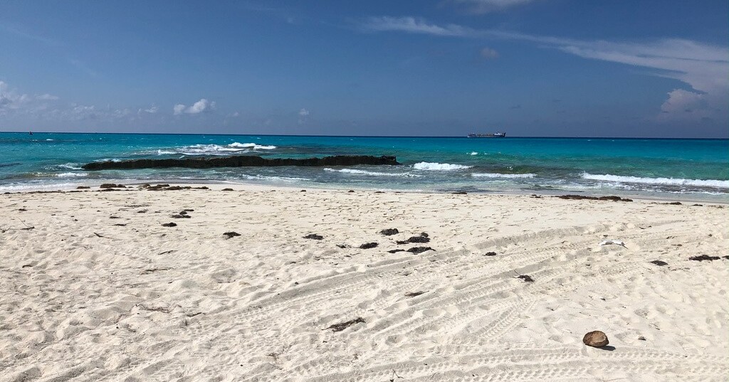 Shipwreck Point - Open Water Data