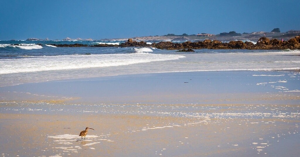 Spanish Bay - Open Water Data