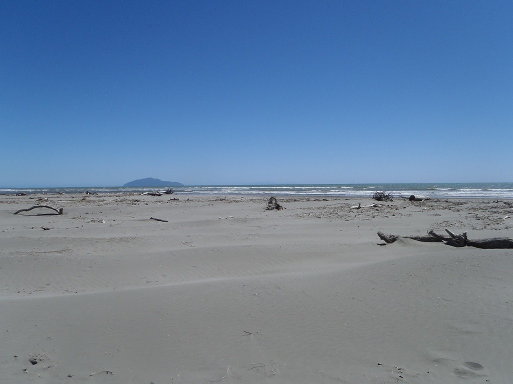 Tasman Sea at Waikawa Beach - Open Water Data