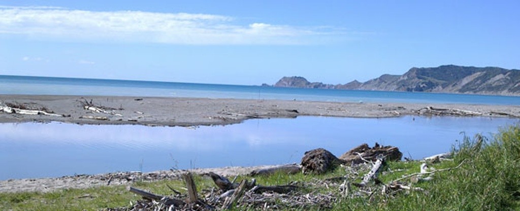 Tokomaru Bay - Open Water Data