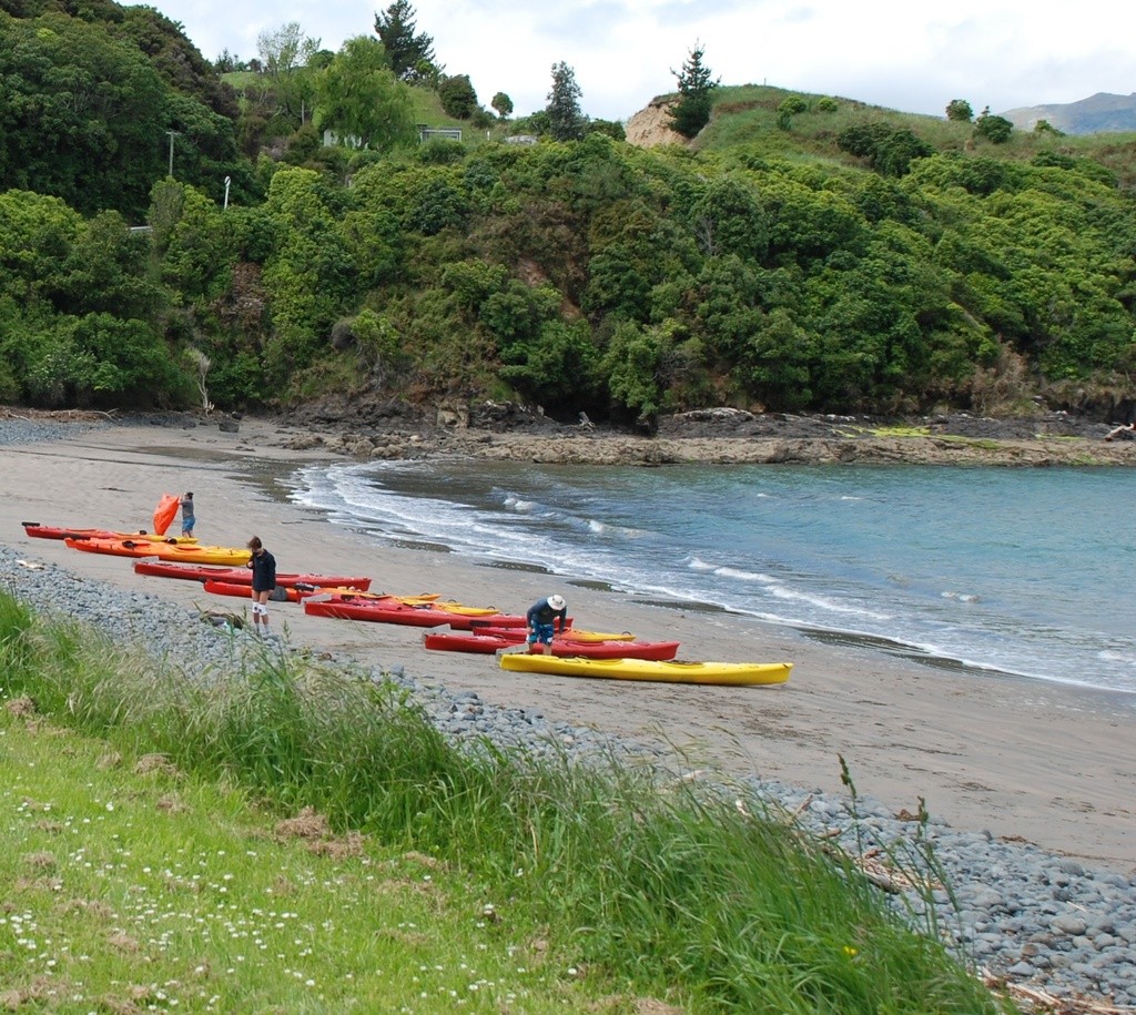 Wainui Beach - Open Water Data