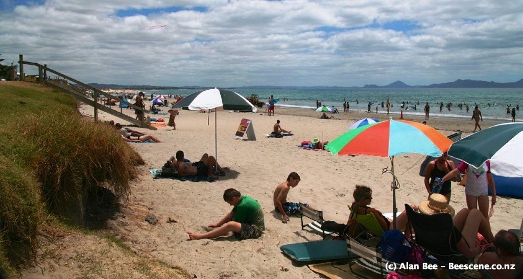 Waipu Cove Beach - Open Water Data
