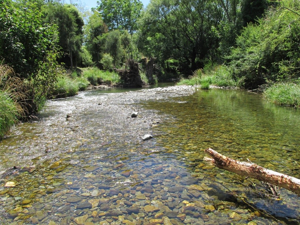 Wakapuaka at Hira Reserve - Open Water Data