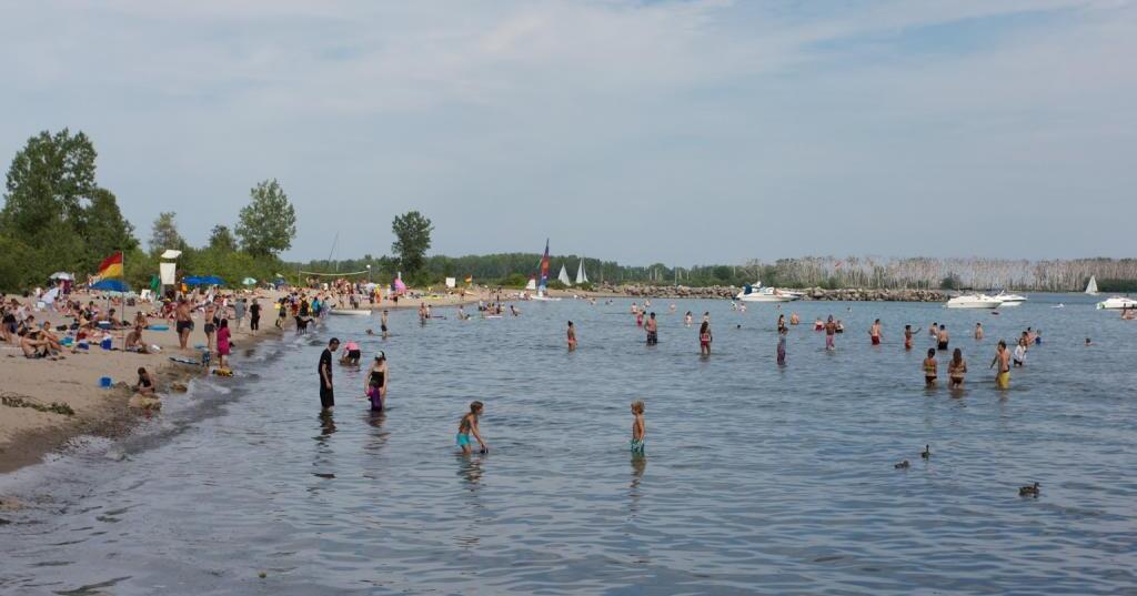 Ward's Island Beach - Open Water Data