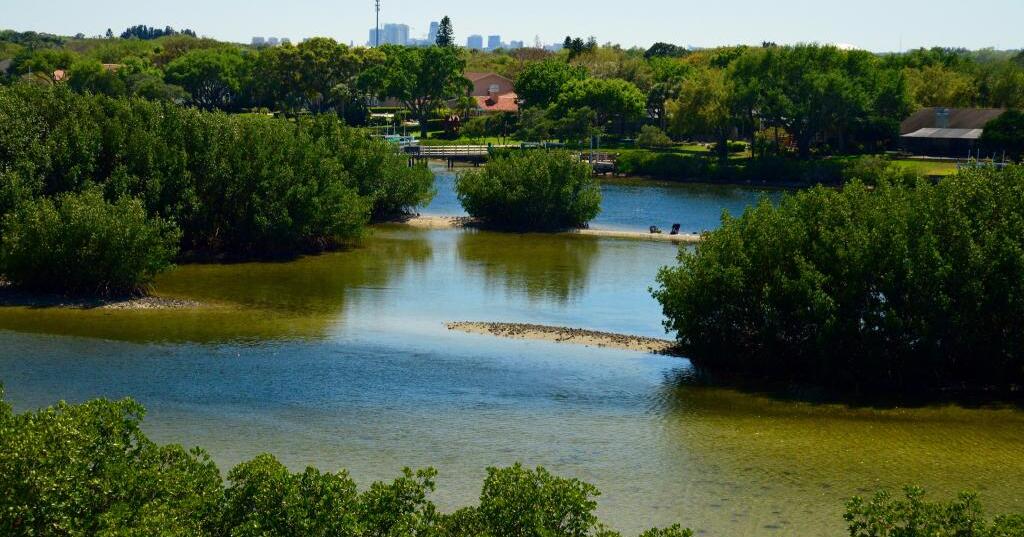 Weedon Island - Open Water Data