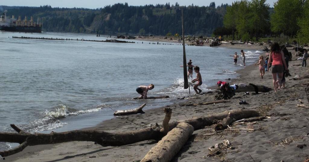 Willow Grove - Open Water Data