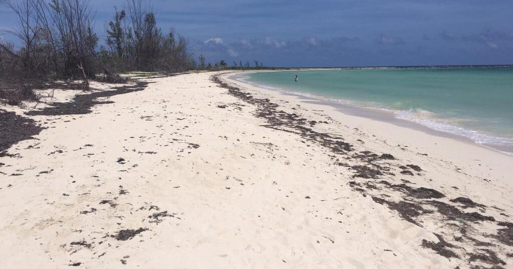 Xanadu Beach - Open Water Data